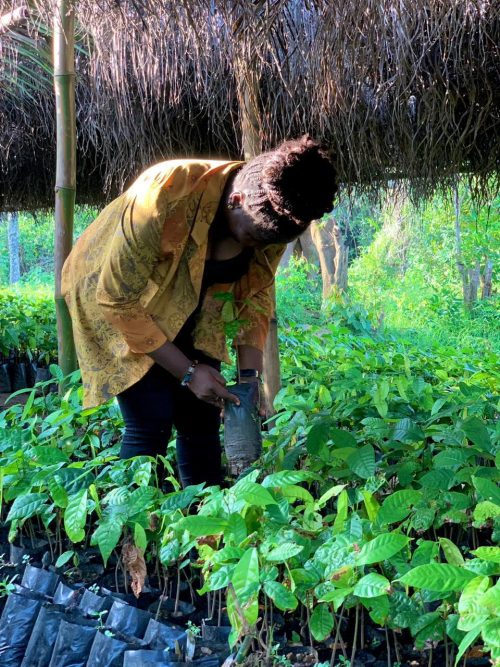 BudgIT Liberia and UNDP Empowered Farmers and Promotes Ecological ...